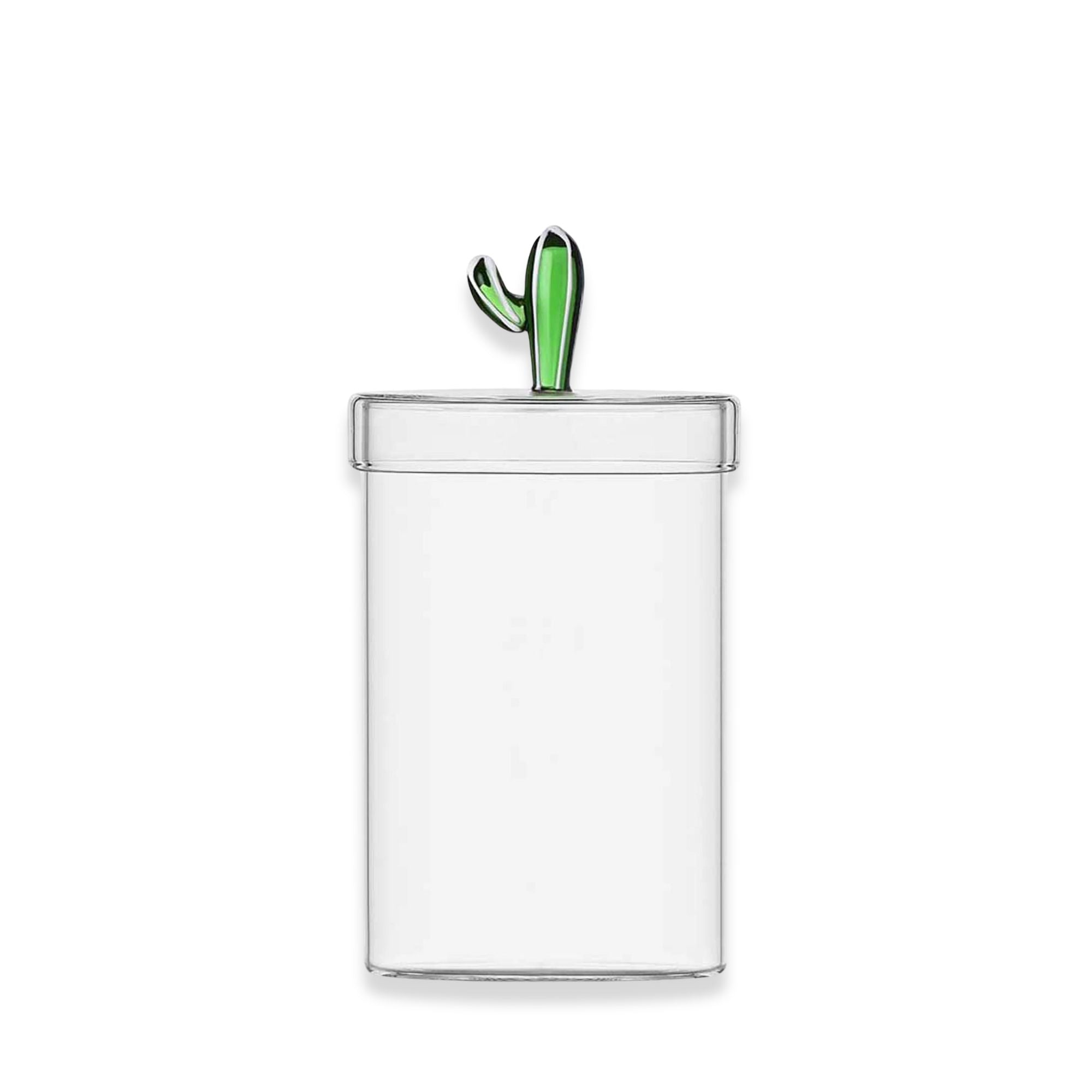Box Cactus - Green by Ichendorf Milano – The Conran Shop