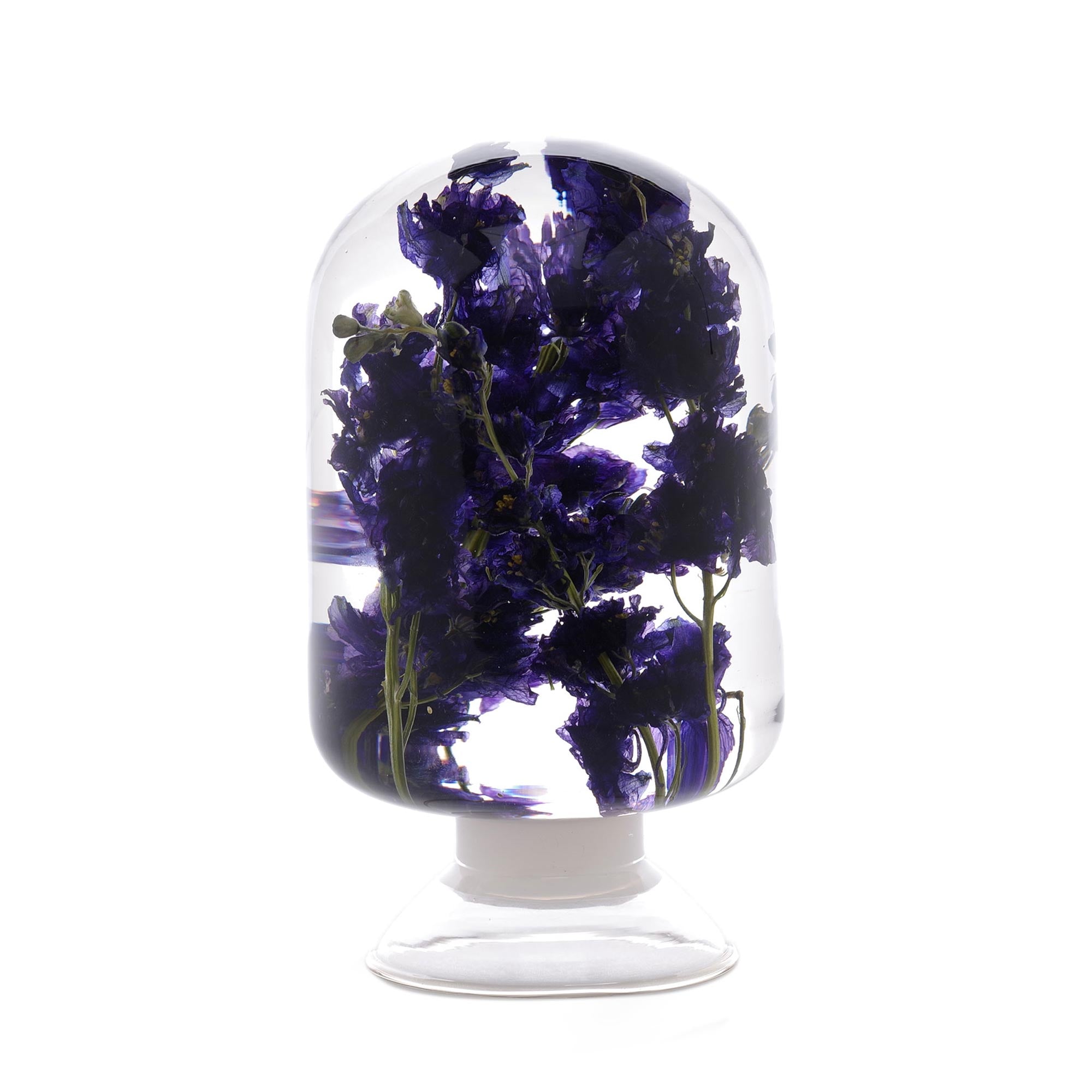 Medium Pieces of Time - Blue Delphinium by Style Jieum – The Conran Shop